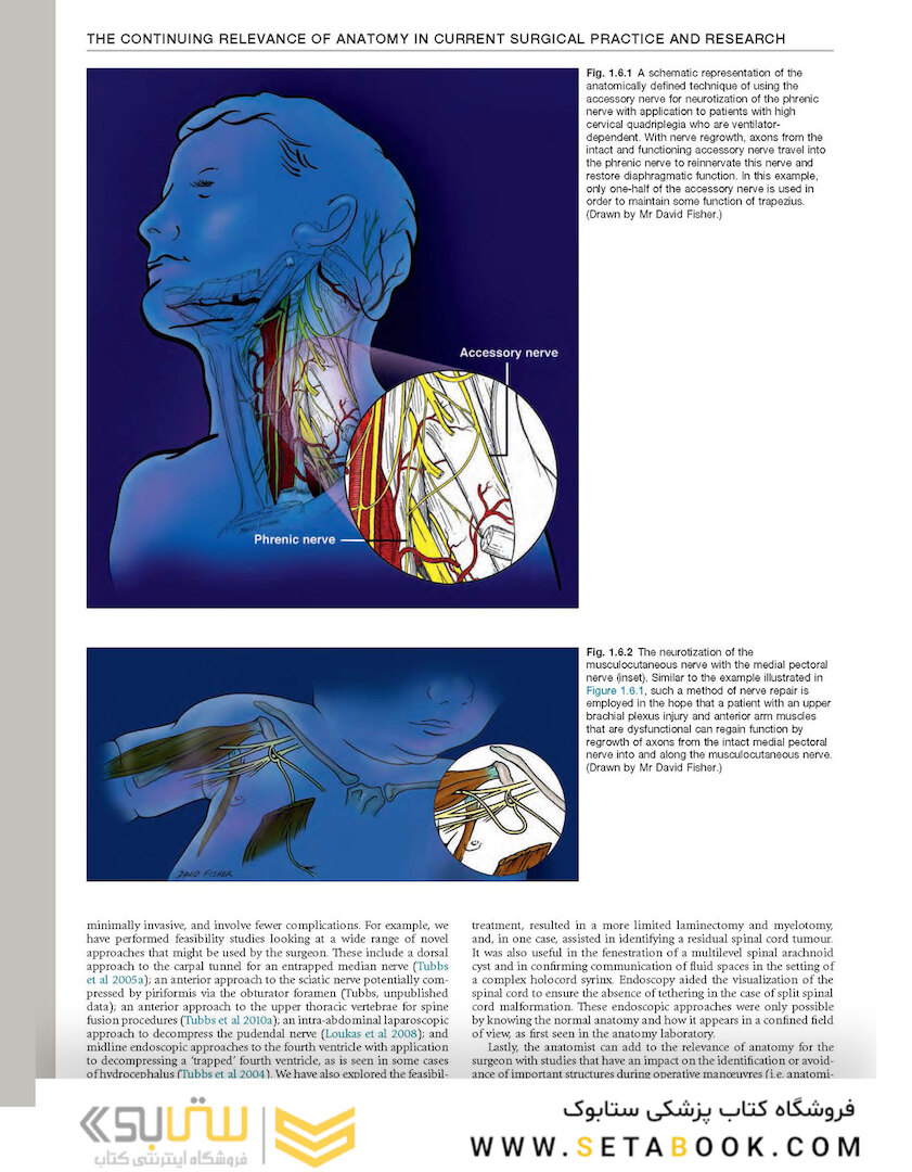 خرید و قیمت کتاب Gray's Anatomy : The Anatomical Basis of Clinical Practice